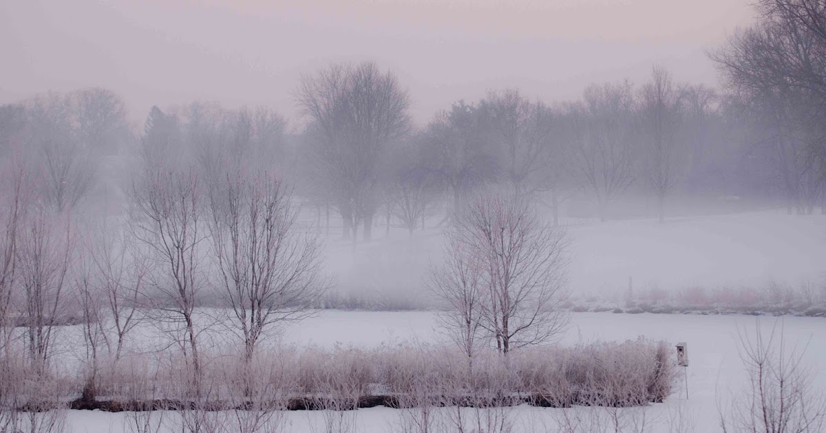 Savoring Servant: Fog drift