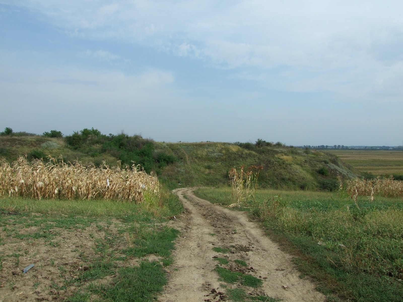 Argedava - Alchetron, The Free Social Encyclopedia