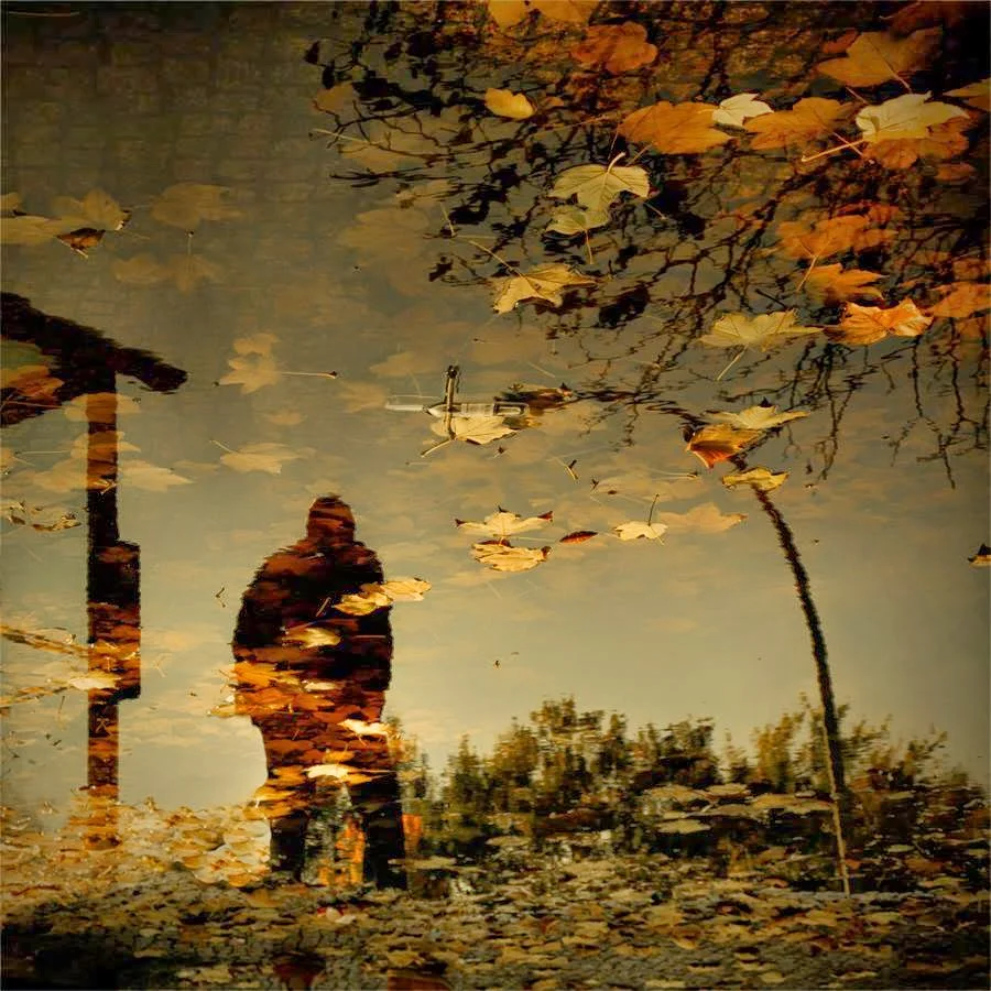 Anja Bührer | Surreal silhouettes | Tutt'Art@ Masters