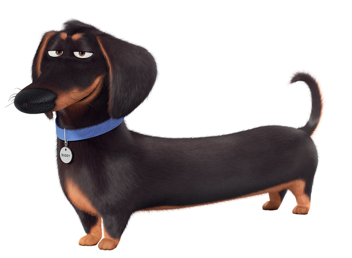 La Nuez: La vida secreta de las mascotas