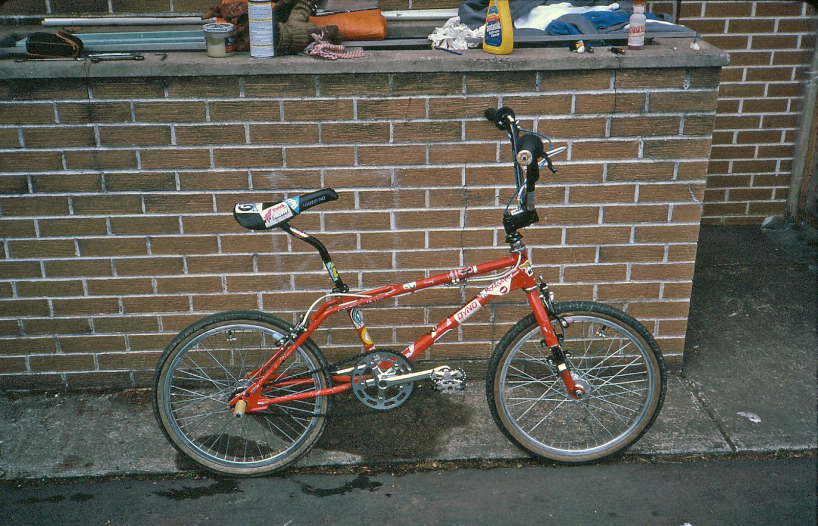 My Two Schillingsworth: Rad Roots