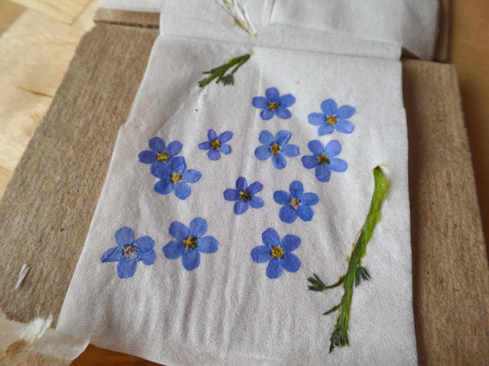 Addicted to Making: Forget-me-knots & starting again..