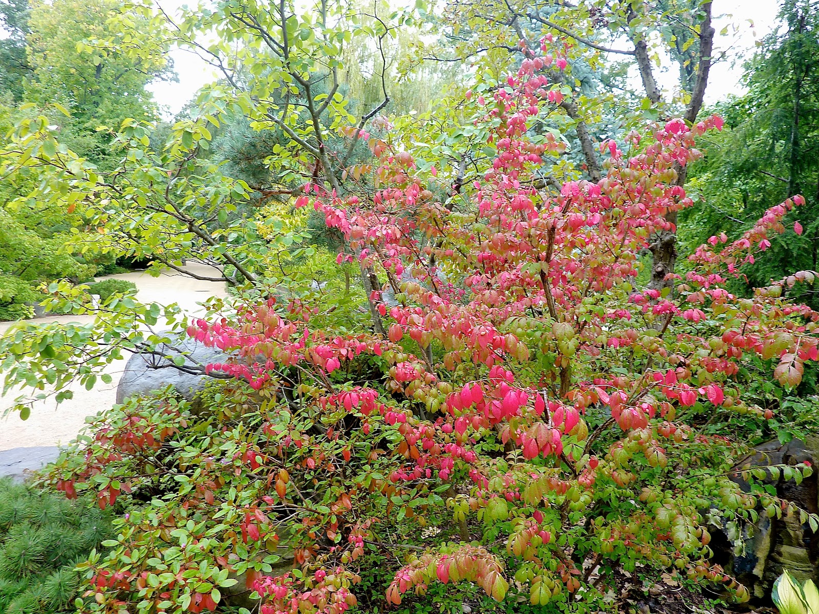 Garden of Reflection: Changing Seasons