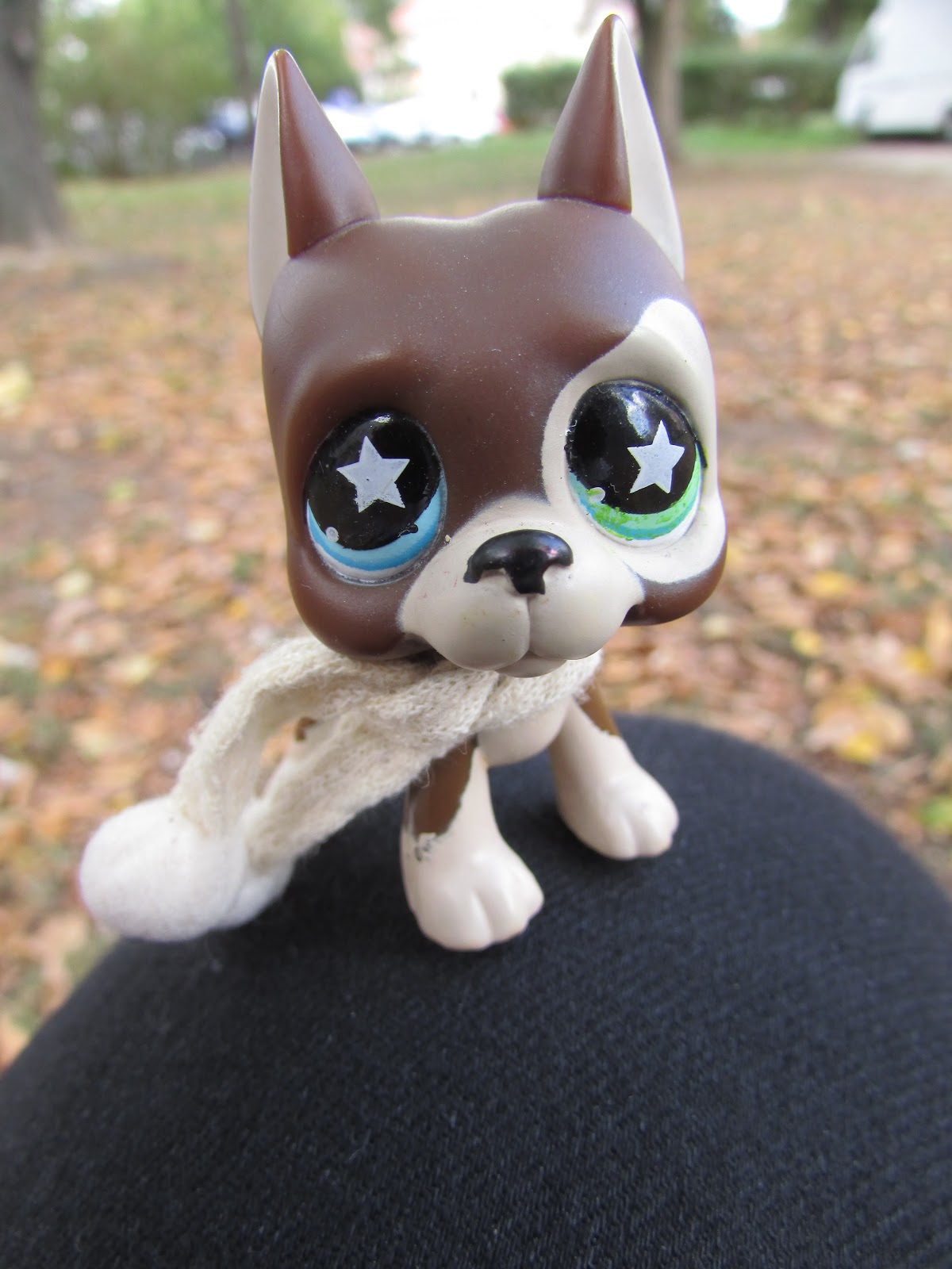 Mój świat LPS: 134. LPS: Jesienna sesja