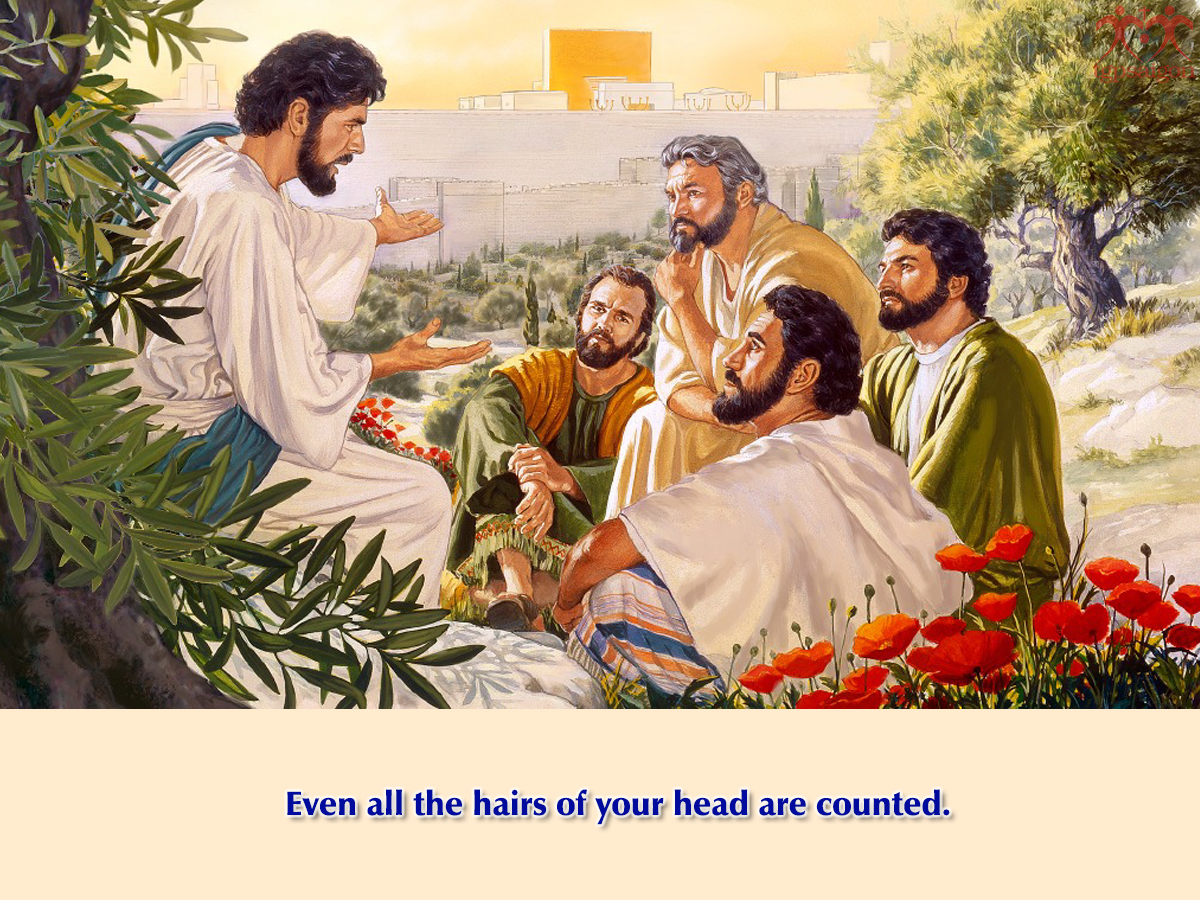 NGƯỜI LỮ HÀNH HY VỌNG: JUNE 25, 2017 : TWELFTH SUNDAY IN ORDINARY TIME