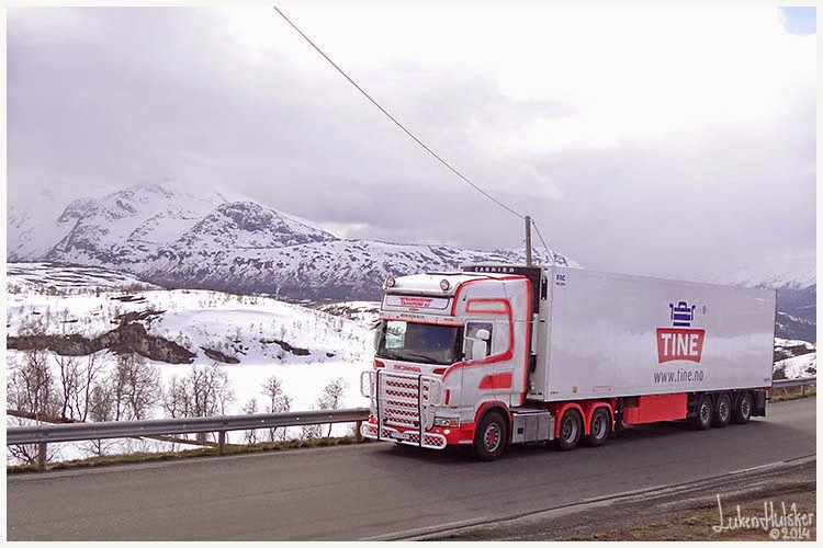 SCANIA: Norsk Scania Markussen Transport AS Harstad @ Krogfjellet