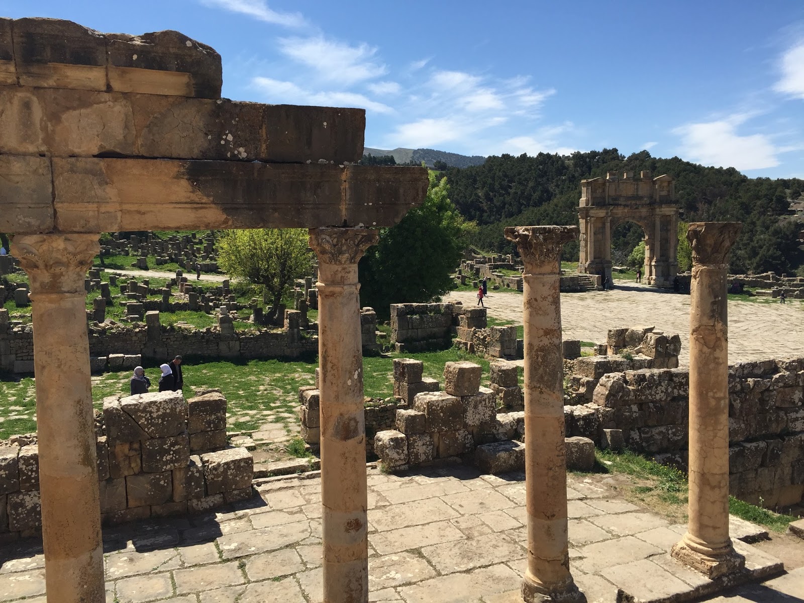Tocho T8: Djemila (Cuicul, ciudad romana en Argelia), entre el comercio ...