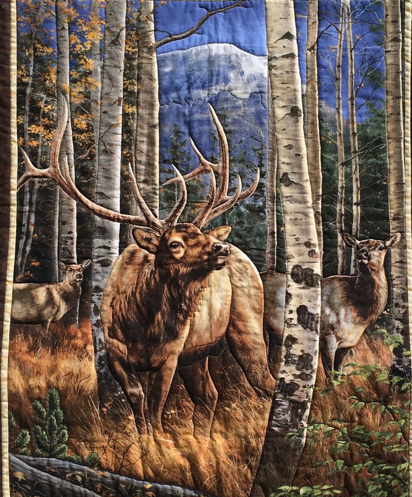 QUILTS AND SUCH: Rocky Mountain Elk!