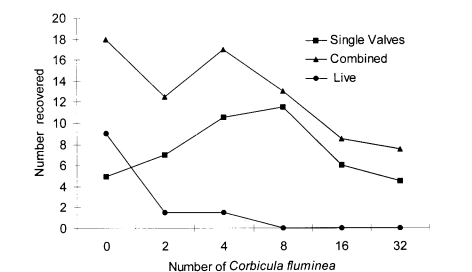 The Invasive Asian Clam: Biology and Ecology