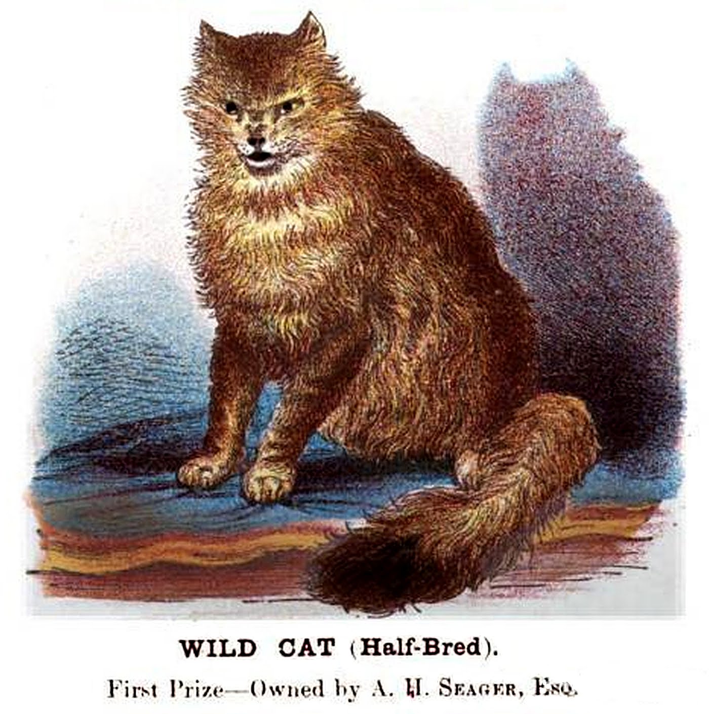 July 2012 Public Domain Clip Art Photos and Images