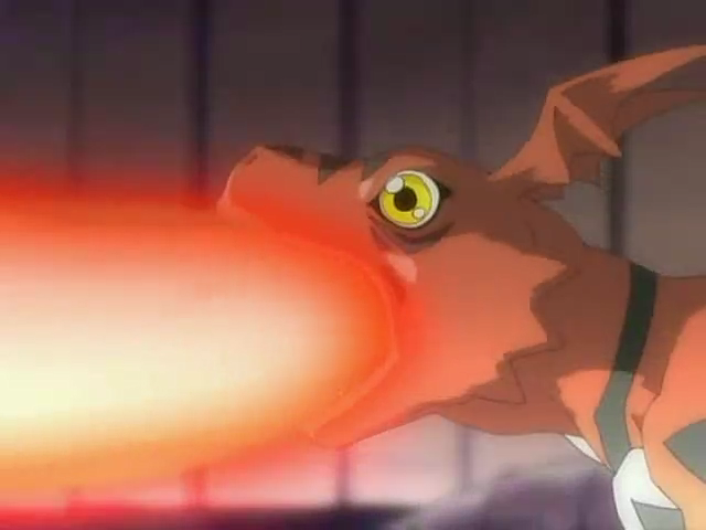 Digi-Arquivo: Guilmon ~ PMD || Acervo de Imagens de Digimon e Pokémon ...