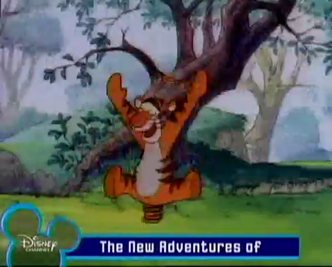 The New Adventures of Winnie The Pooh: Tigger's Shoes