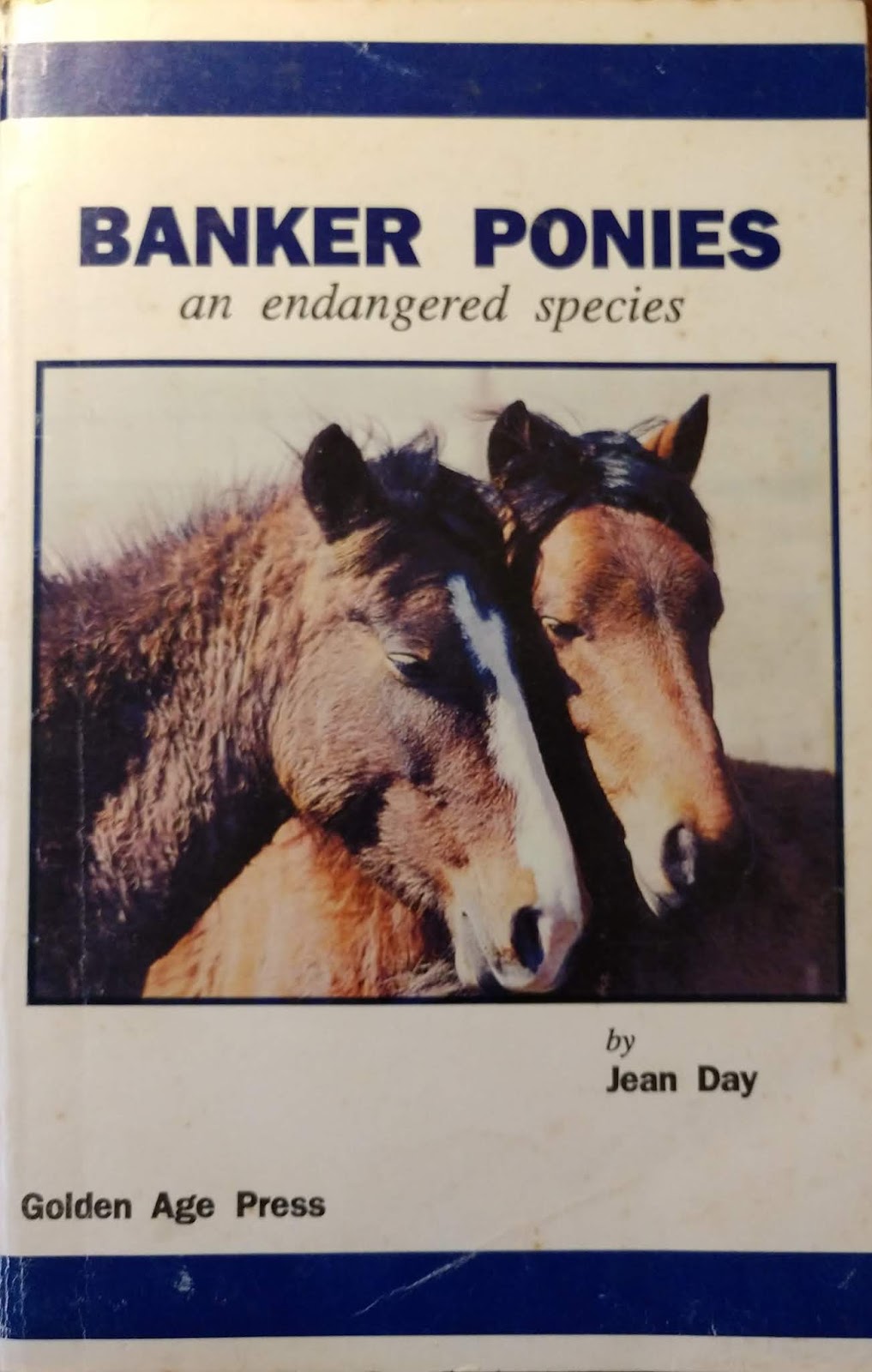 Ocracoke Island Journal: Ocracoke Ponies