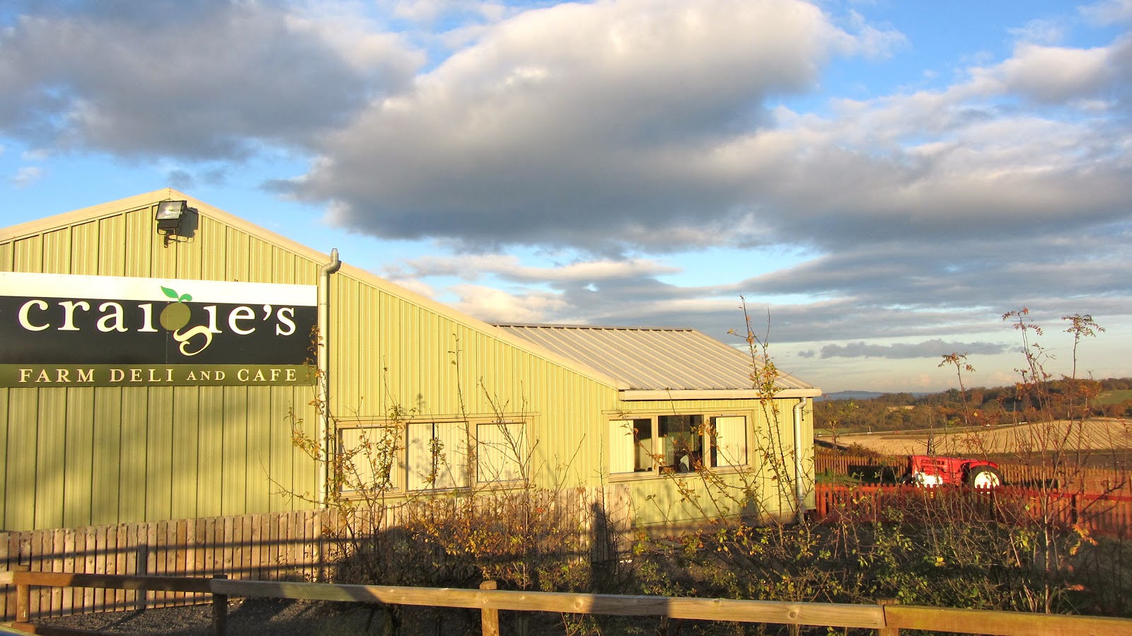 Dreams & Happy Things...: Just another day on the farm