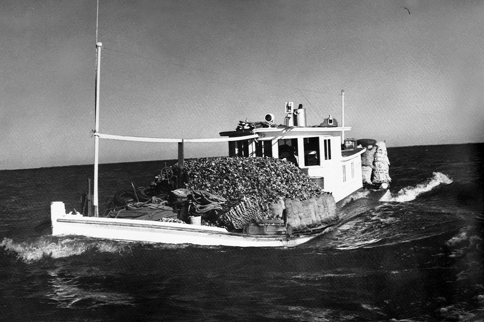 Great Southern Foods