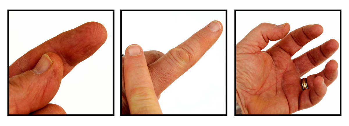 "the dxb gardener": Bell Peppers my