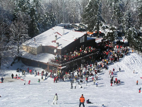 02/22/12 ~ PIERIA-GR