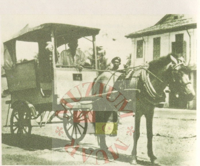 Muzium Muar (Muar Museum): Kereta Kuda Bandar Maharani