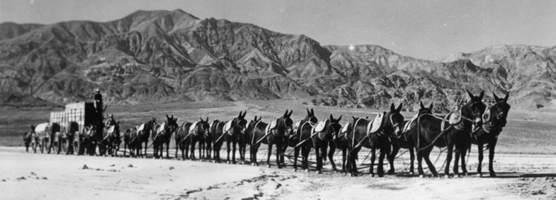 Twenty mule team - Alchetron, The Free Social Encyclopedia