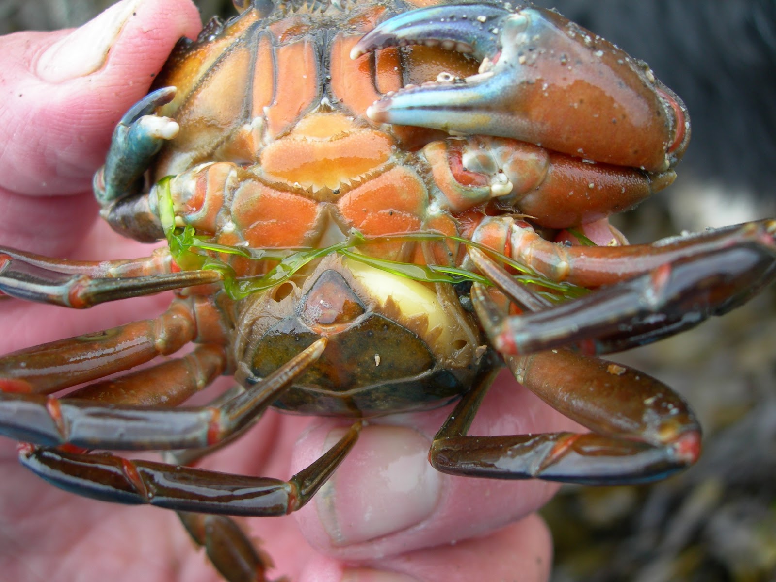 A Kilchoan Diary: Martin Summers' Photographs