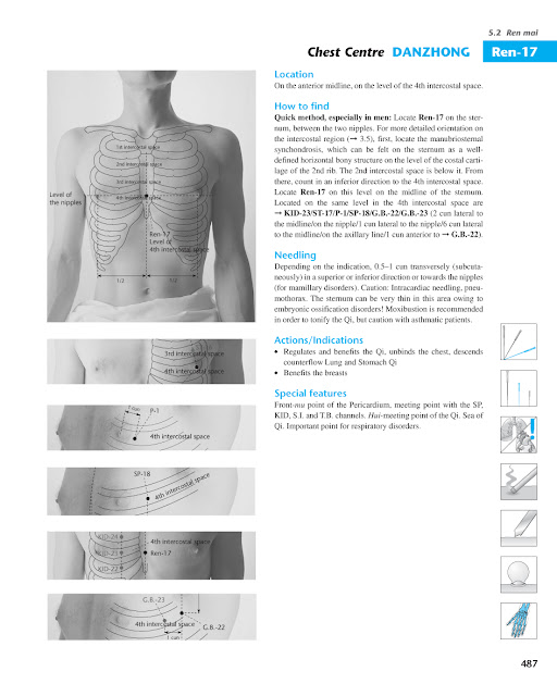 Acupuncture Masters: Acupuncture Points Database - Ren Channel