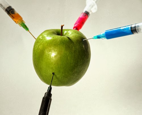 Gastronomía: Alimentos genéticamente modificados (GM foods)