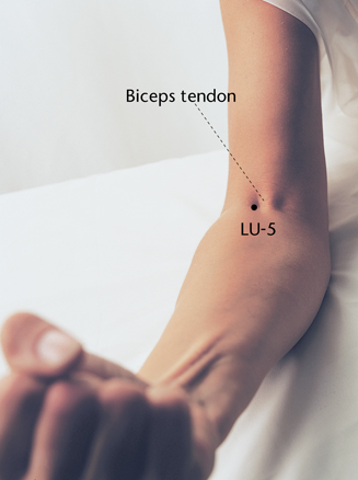 Lu 5. Chize / Ce Ce (Memilih dan Mengukur) - Terapi Jarum