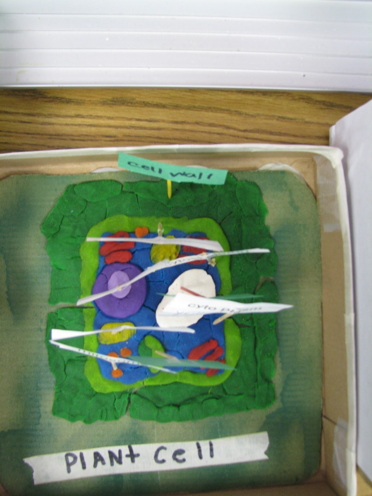 Teaching the Kid: The Cell Project!