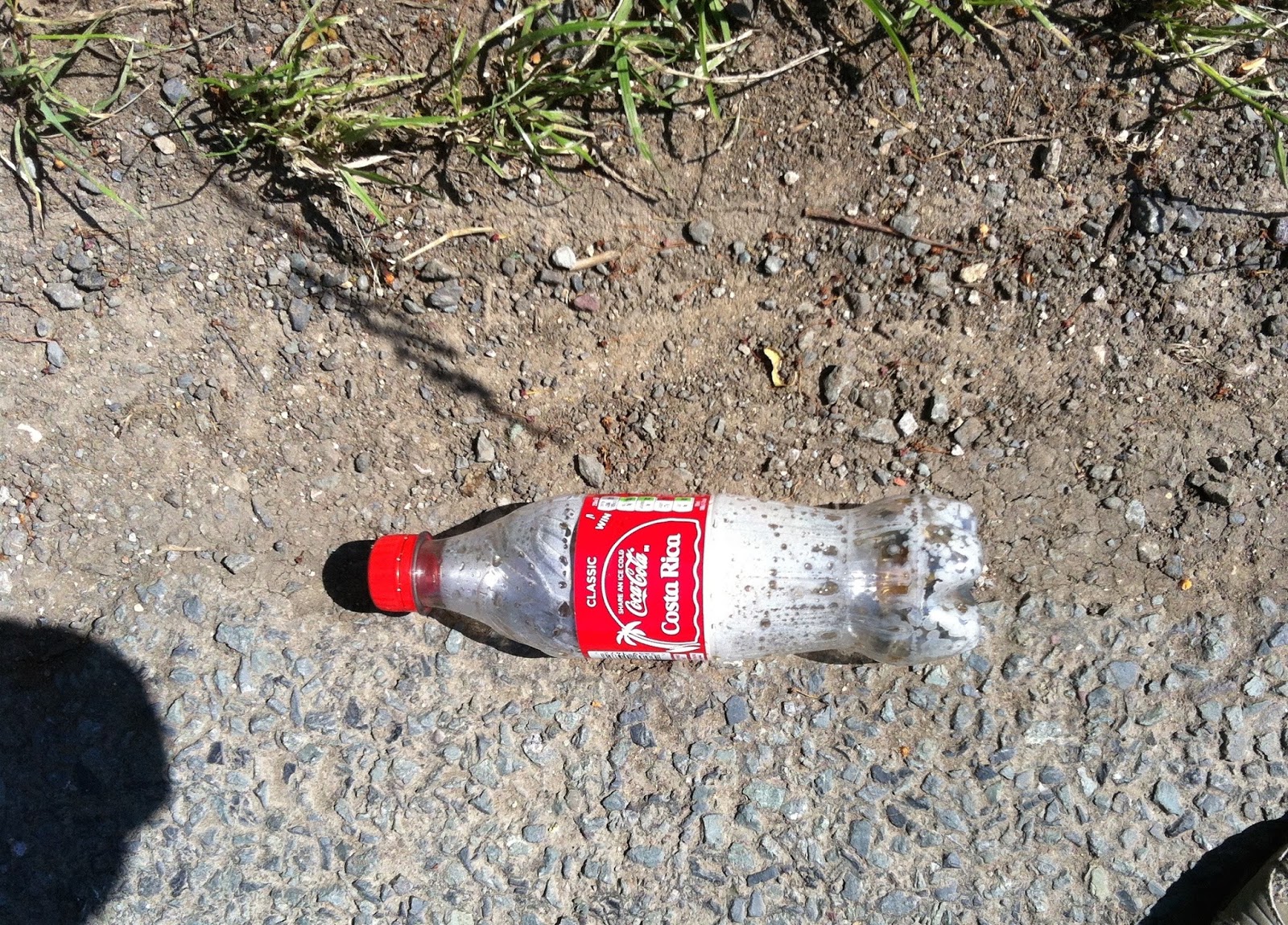 Who is responsible for litter? The answer may surprise you!