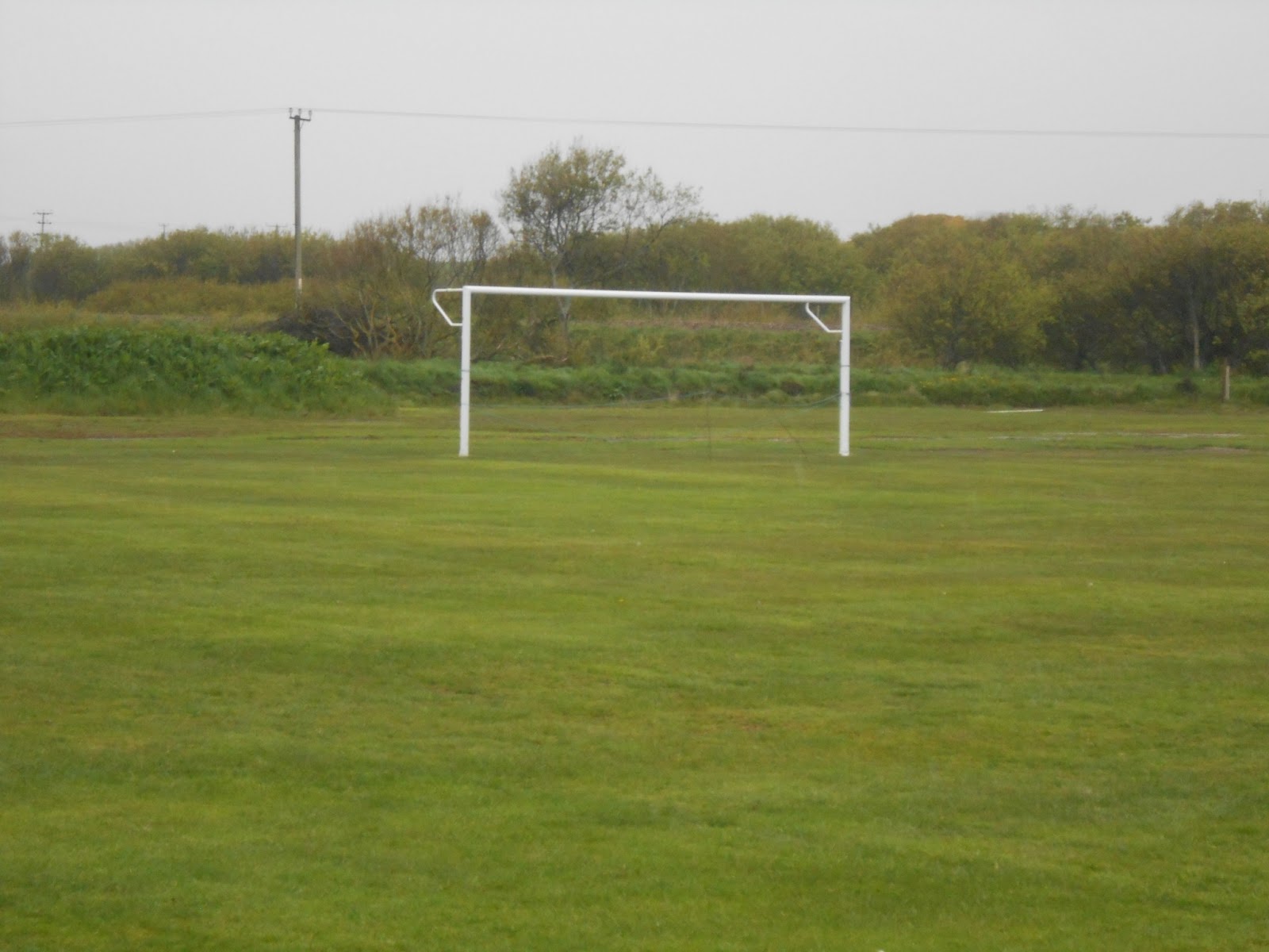 Fox in the Box Productions - Official website: Borth United F.C.