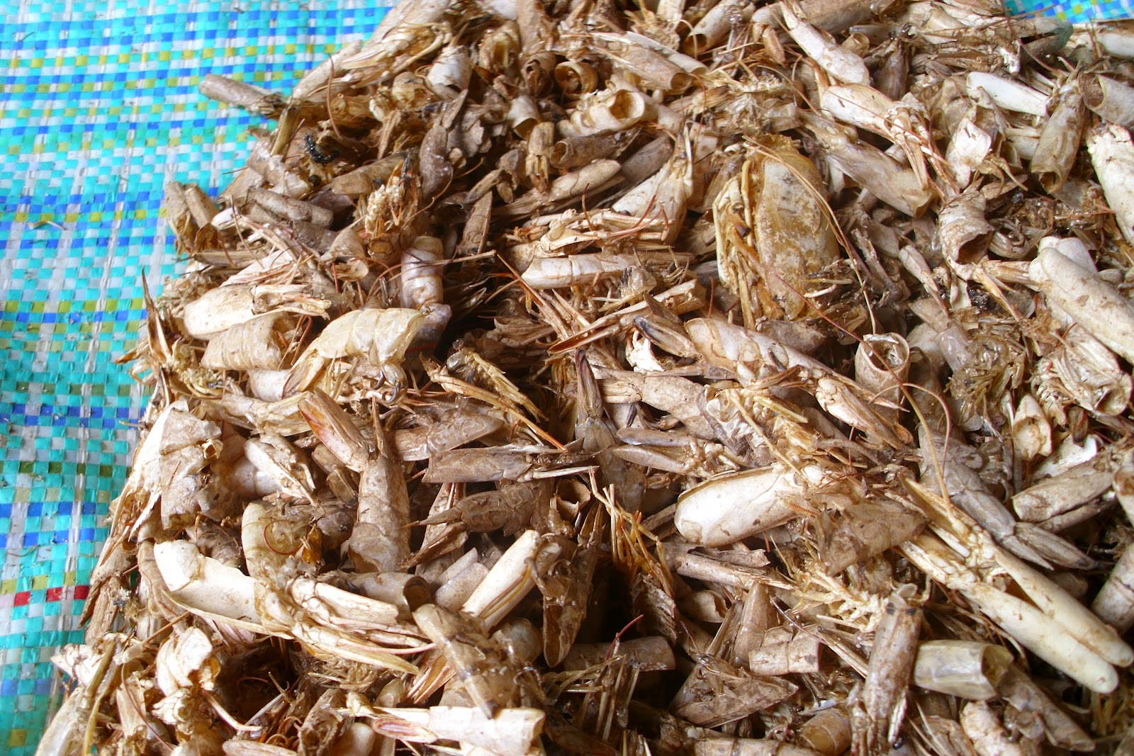 Dhaka ChemieTechs: Dried Shrimp Shell