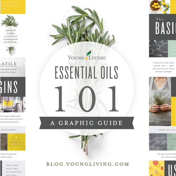 Young Living Essential Oils 101 Infographic Design | J. Marie ...