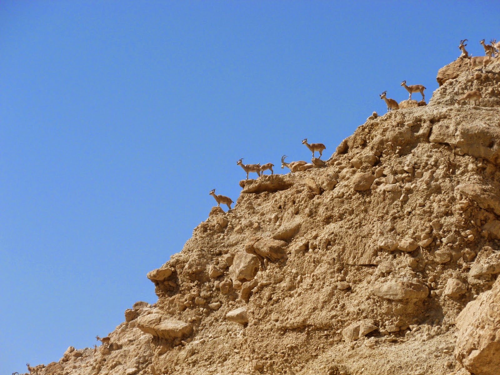 Hiking in Israel: June 12, Thursday - Lowest Point on Earth