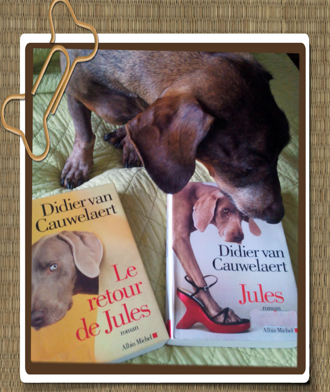 ...COQUELICOTS, COQUILLAGES...et BELLES PAGES !: 2018