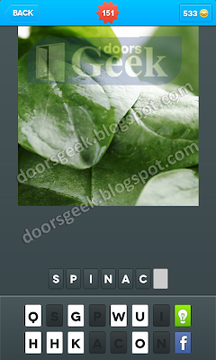 Zoomed In - Photo Word Game Level 151 ~ Doors Geek