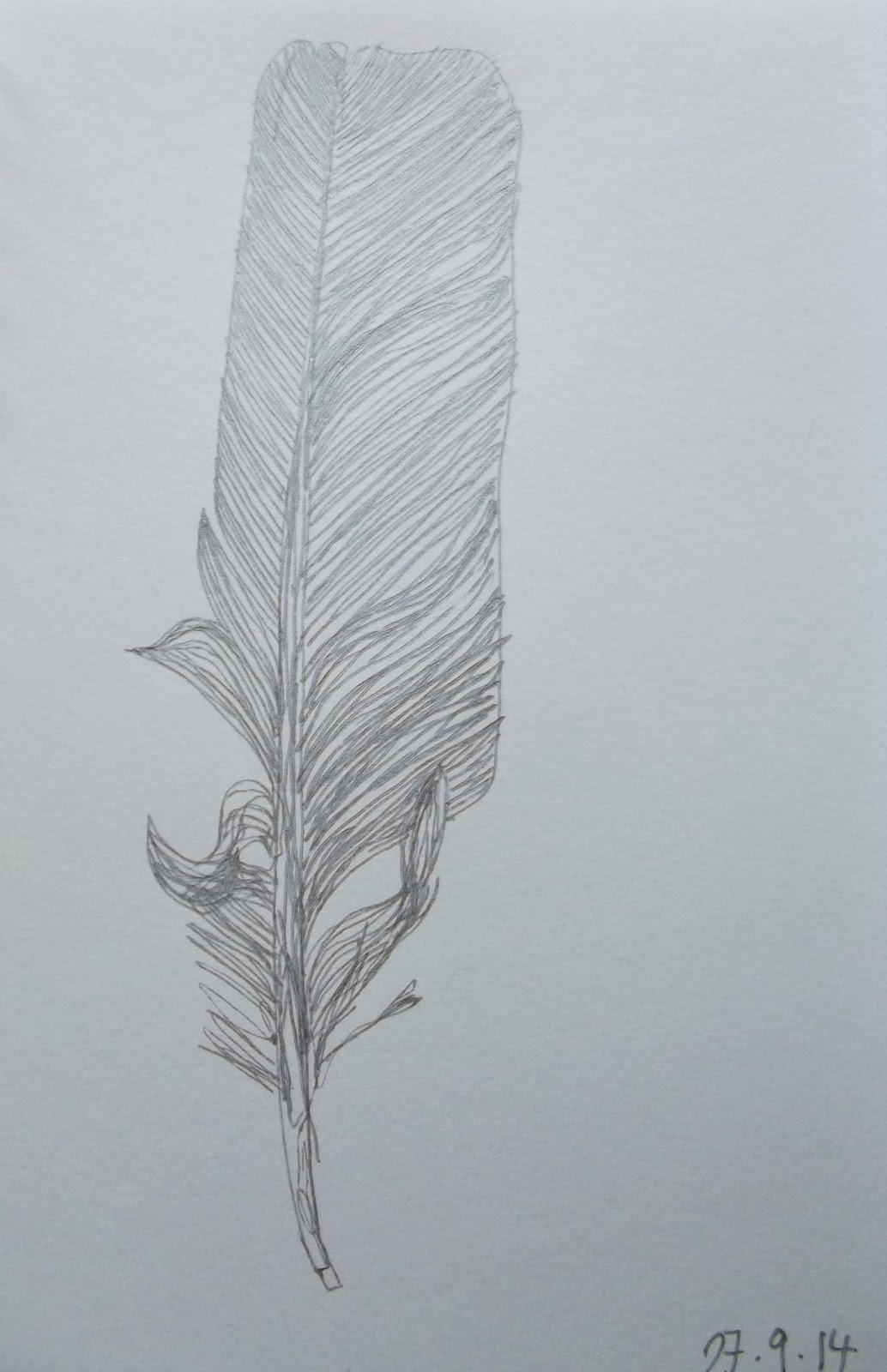 Delicate Stitches: Feather Drawings...