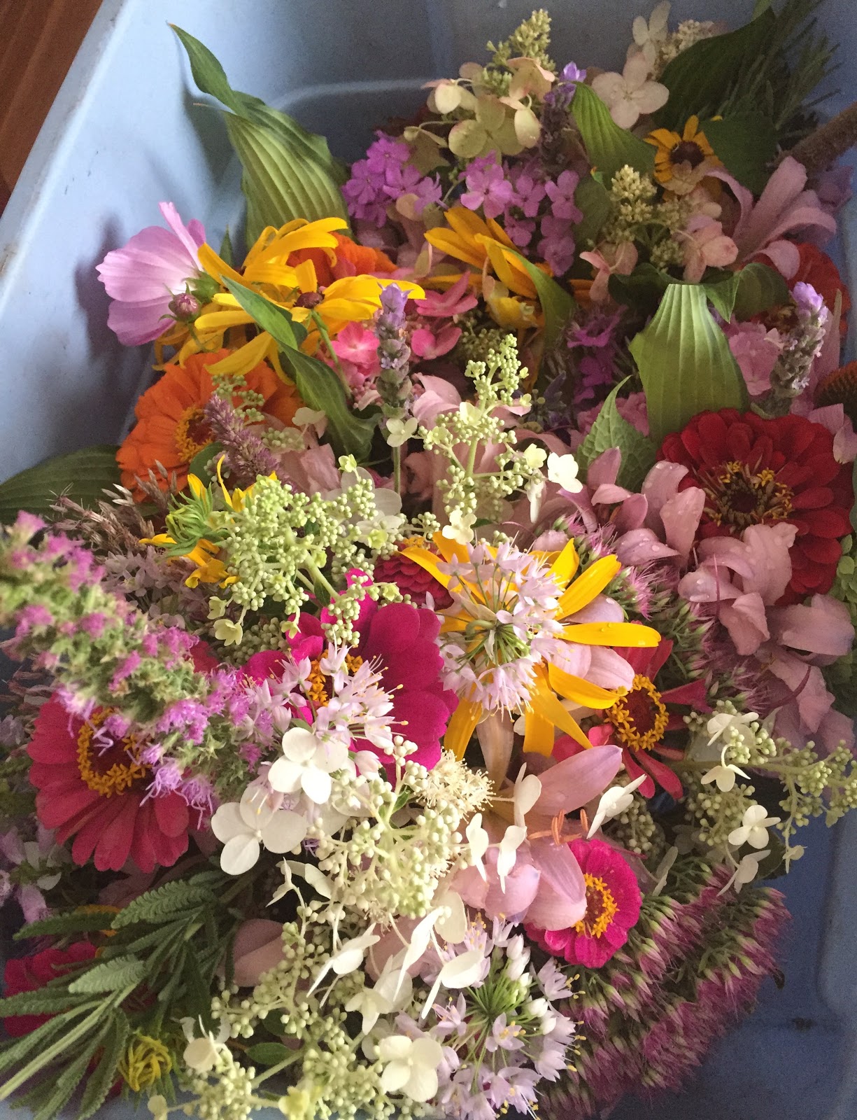 The Phytophactor: Buckets of flowers