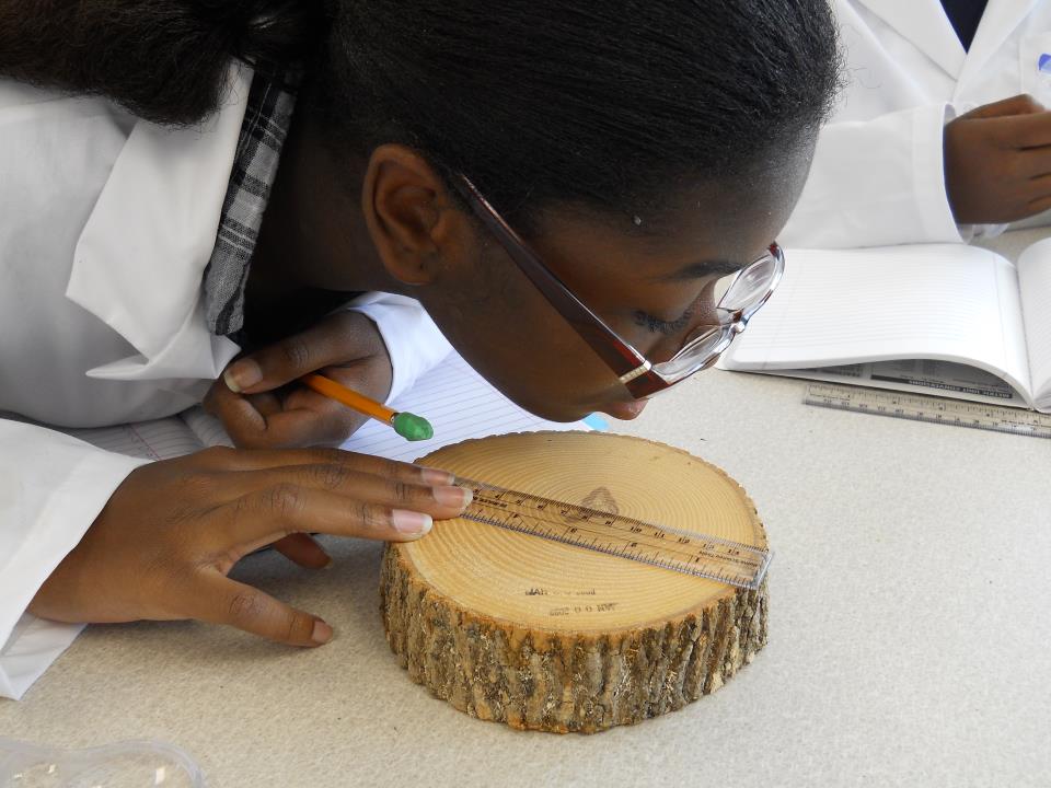 Sojourner Marable Grimmett: Learn about the Biologue Program for Young ...