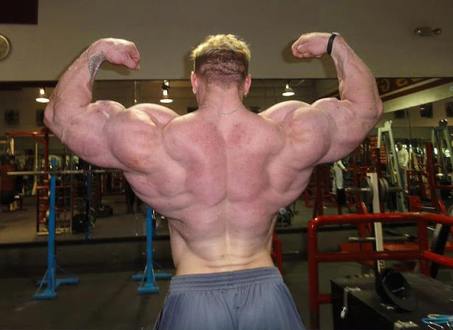 mr olympia 2012, mr olympia 2012 predictions, mr olympia 2012 winner ...