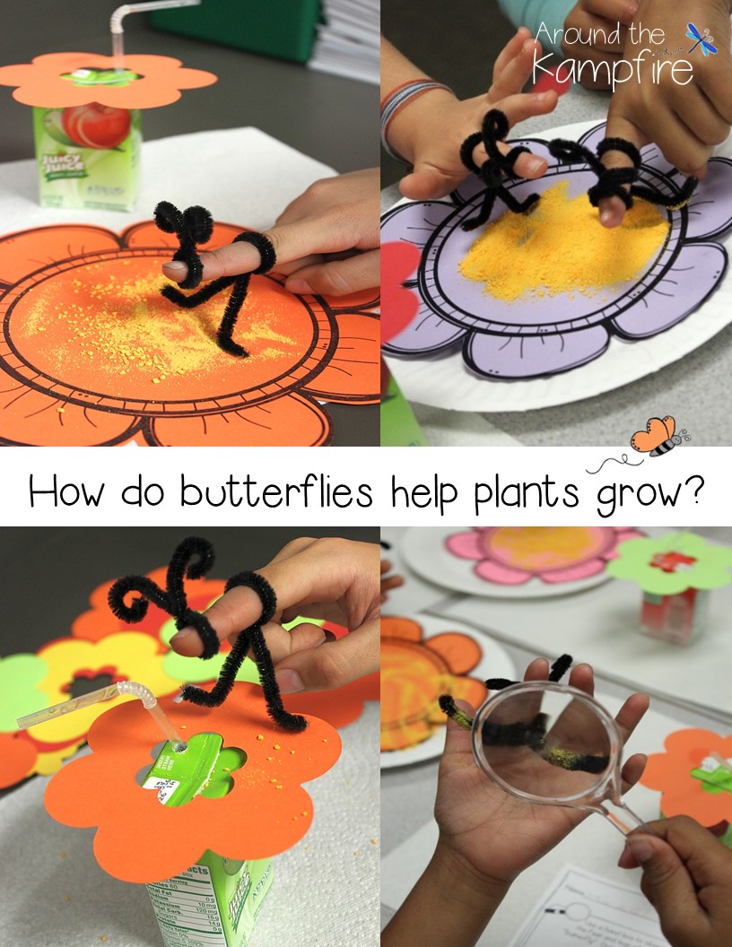 Butterfly Math and Science Activities - Around the Kampfire