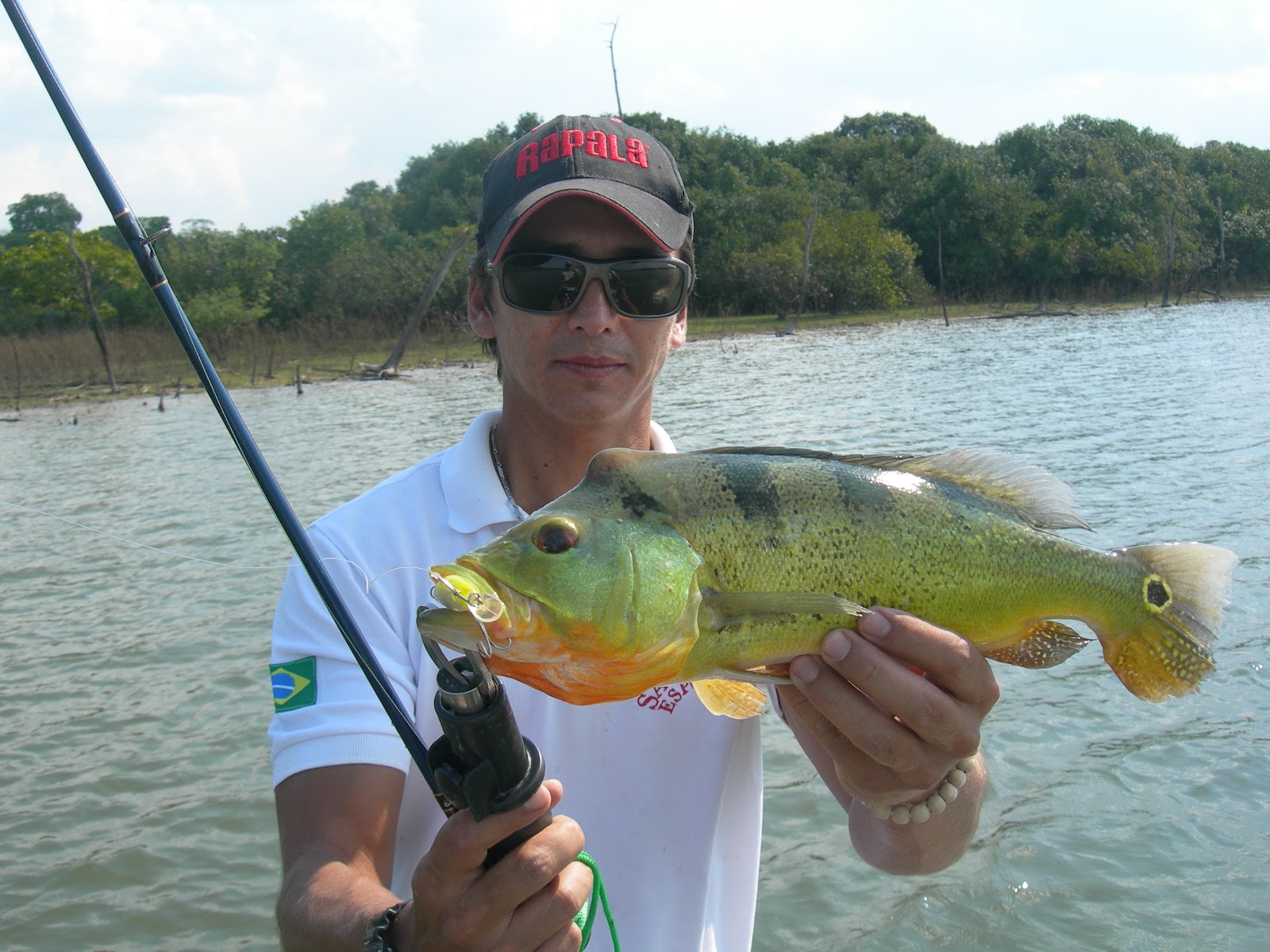 Pesca Saga Esportiva: Tucunarés e aruanãs de Goiás II