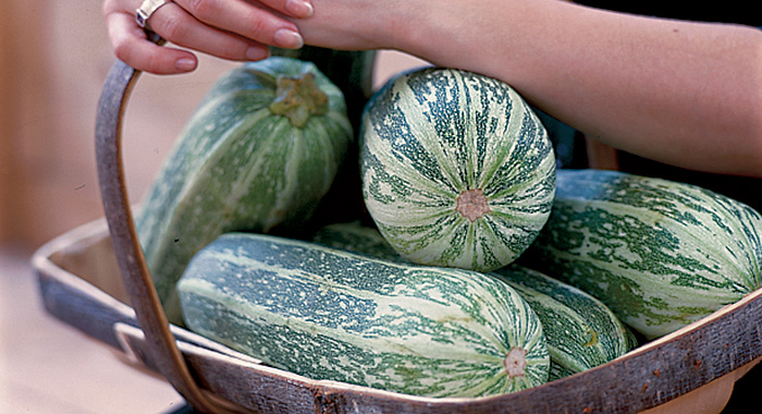 The Low Carb Diabetic: Marrow it's a cucurbit