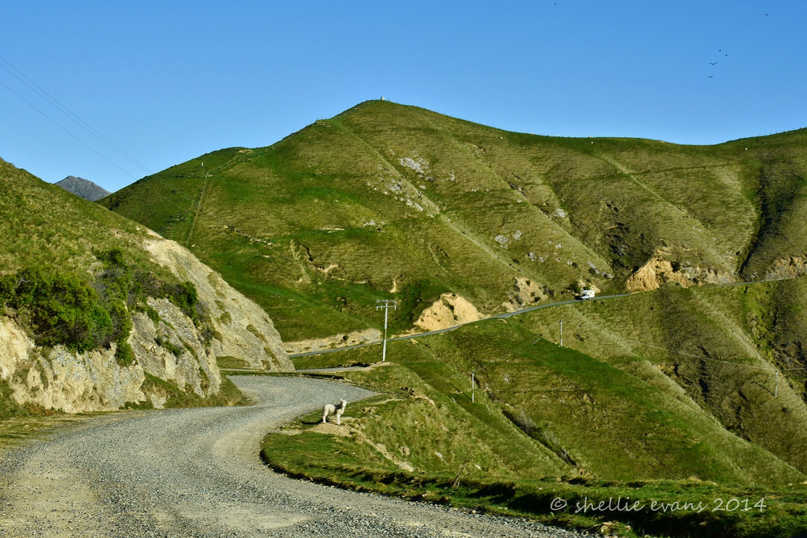 Two Go Tiki Touring: The Road to French Pass