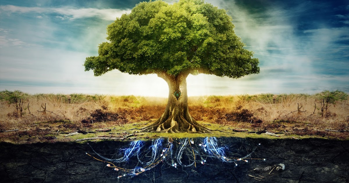 Reclaiming Our Christian Heritage: The Tree of Life and the River of God