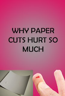 Why Do Paper Cuts Hurt So Much | Simple Scientific Reasons - Simple ...