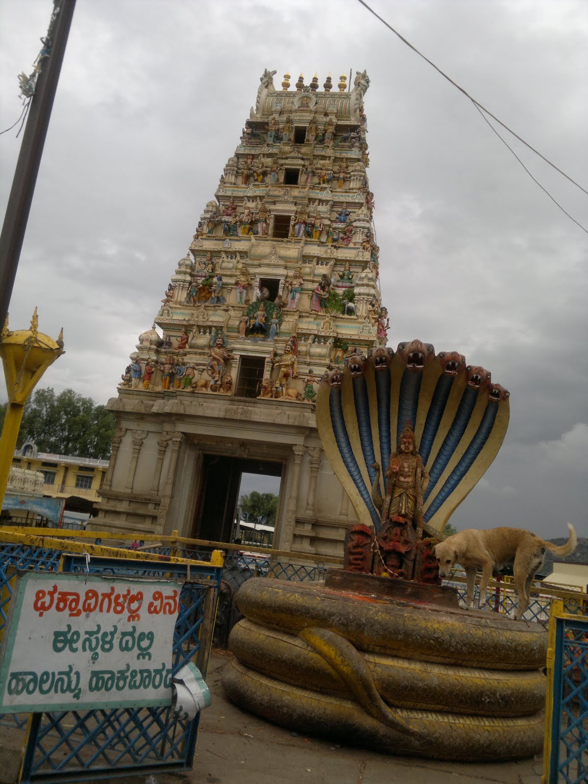 6 Not-to-be-missed Places near Kolar