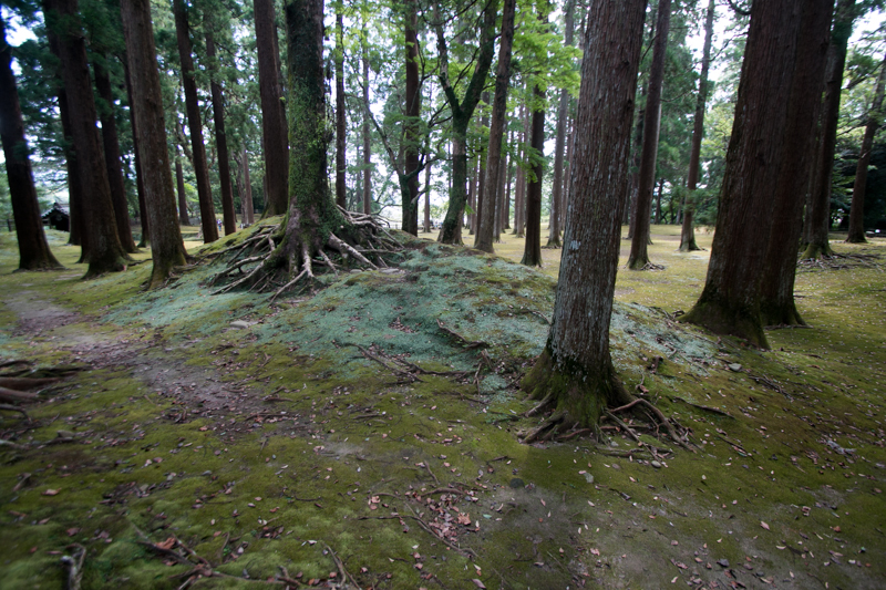 Obi Castle -Castle with sacred atmosphere looks like temple or shrine ...
