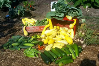 Teachable Moments: Educator Spotlight: Gretta Steffens