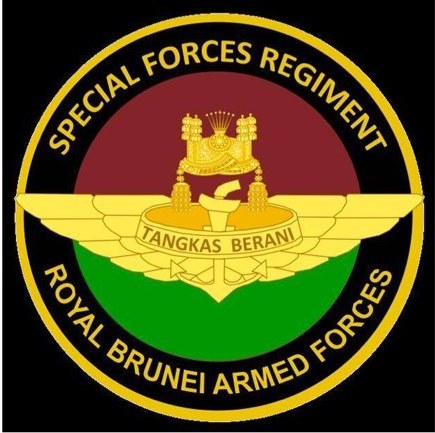 Wizurai World Green Zone: RBAF wins international warrior competition