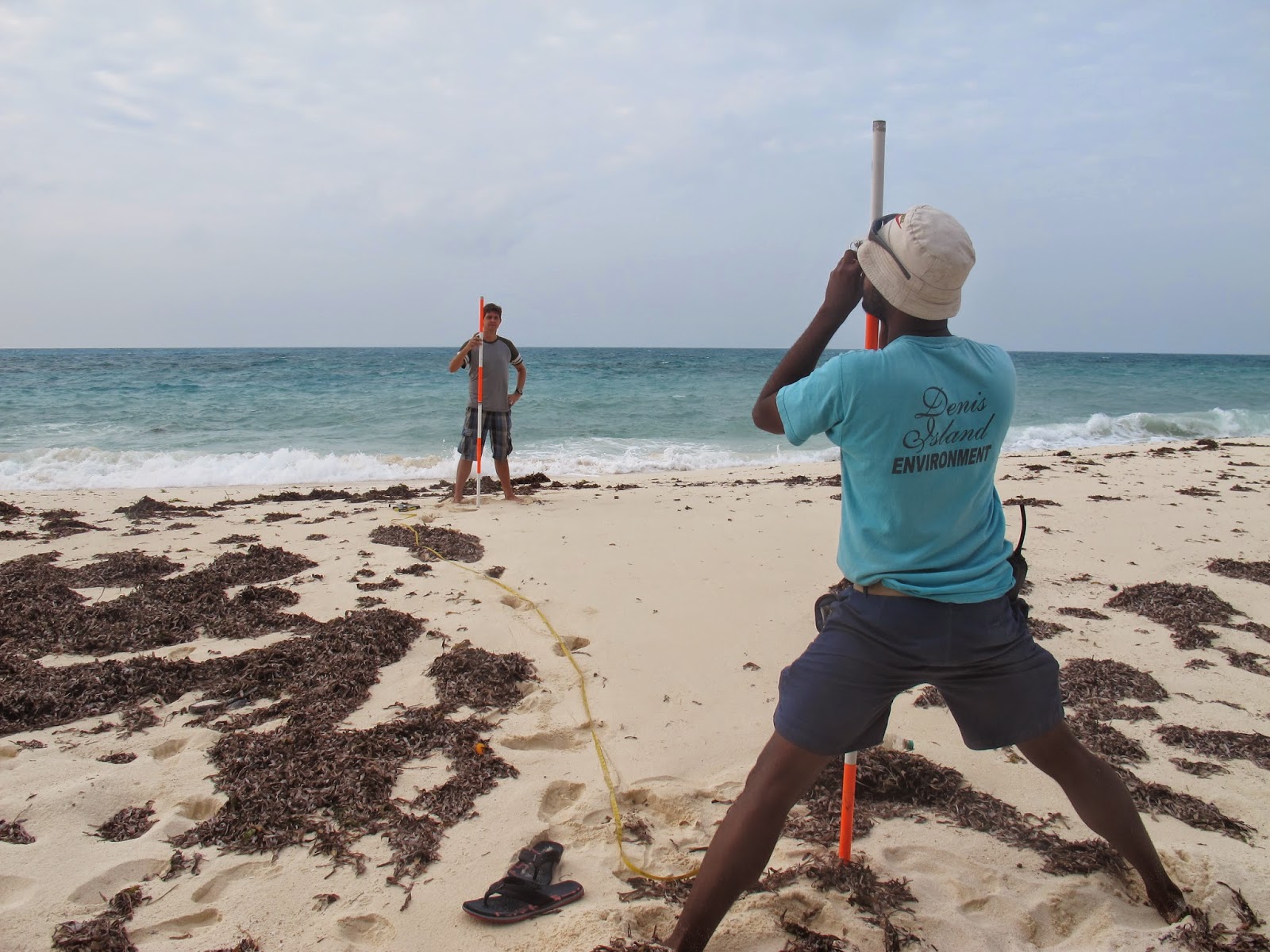 The Green Islands Foundation - Seychelles: Beach Profiling - Denis Island